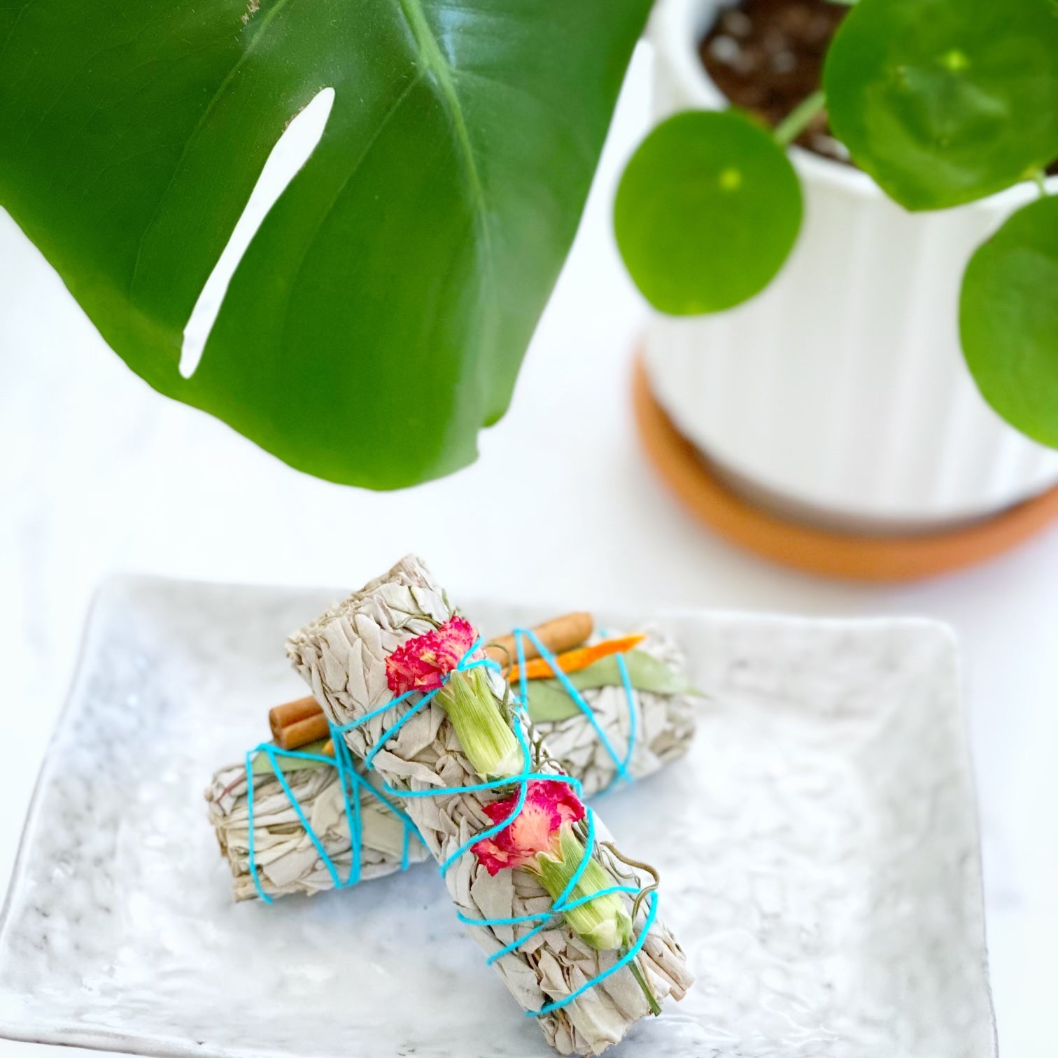 The Little Sage – TheLittleSage